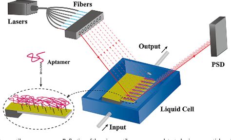 Figure 1 From Label Free Aptamer Based Detection Of Microcystin Lr