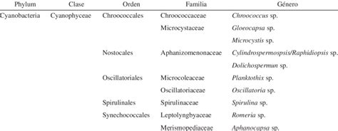 Taxonomic Classification Of Cyanobacteria Identified In Embalse Cerrón Download Scientific