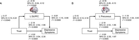 Mediation Role Of Social Brain Regions On The Link Between Trust And