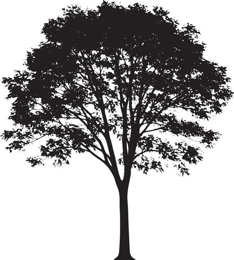Tree Shape Design 66679392 Vector Art At Vecteezy