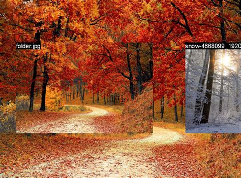 Github Animaoneimage Viewer Component For Pygame Image Viewer