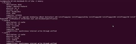 System Info Commands Linux Information And Scripting