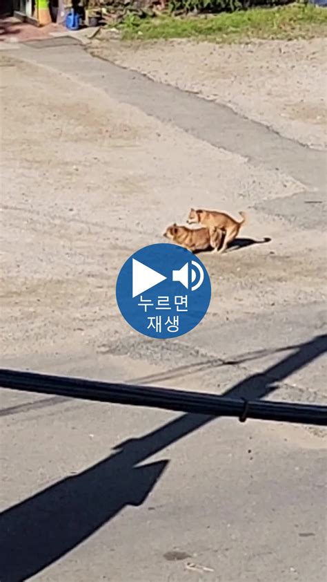 여기회사 진짜 심상치 않음 자동차 에펨코리아