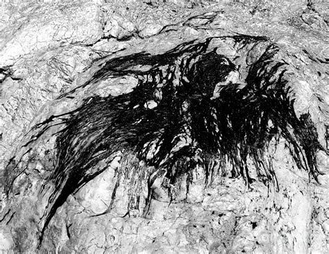 Banshee Warrior Photograph By Marie Neder Fine Art America