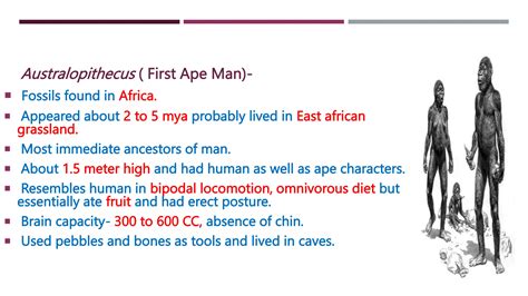 Evolution Of Man By Sana Bi Ansari M Sc I Year Pptx