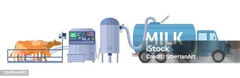 낙농 소 착유 장비 유조선 트럭 현지 공장에 우유를 운반 벡터 일러스트 우유 생산 우유에 대한 스톡 벡터 아트 및 기타 이미지 우유 공장 산업 건물 트럭 Istock