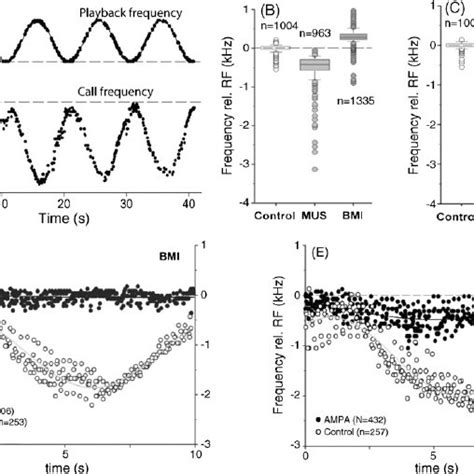 A A Spectrogram Of Horseshoe Bat Echolocation Calls And Echoes