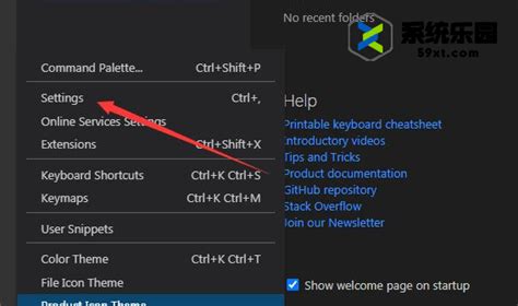 Vscode中git怎么设置未追踪的变化 Git设置未追踪变化的方法 59系统乐园