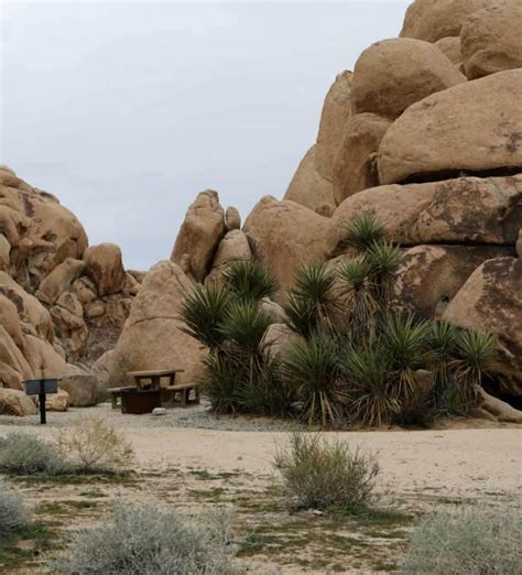 Indian Cove Campground — Joshua Tree National Park Twentynine Palms
