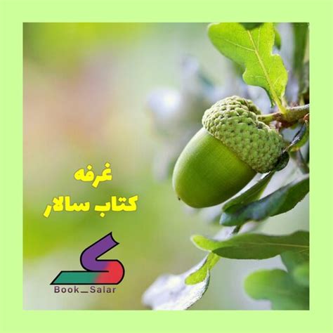 خرید و قیمت کتاب درسی وزارتی زیست شناسی یازدهم تجربی چاپ 1401 رنگی کپی از غرفه کتاب سالار