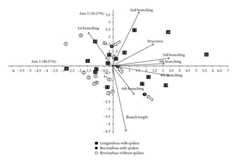 Graphic Representation For The First Two Axes Of The PCA Performed With Download Scientific