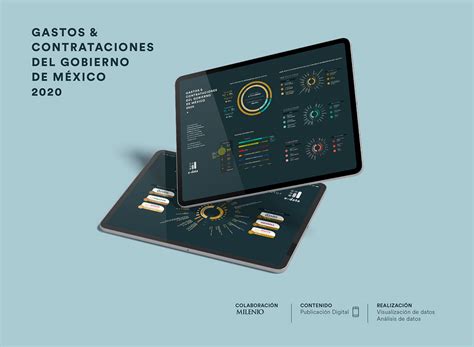 Dataviz X Data Para Milenio Behance