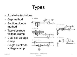 Voltage Clamp Technique PPTX