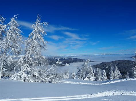 무료 이미지 경치 집 밖의 감기 하늘 화이트 전망 서리 파노라마 얼음 스키 리프트 날씨 눈이 내리는 푸른 스노우 보드 스키 타기 시즌 구름