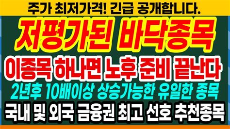 저평가된 상승예상 주가 바닥종목 새빗켐 성일하이텍 코스모화학 이종목 하나면 노후준비 끝난다 국내외 금융권 최고 추천종목