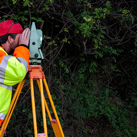 Partnership To Improve Tree Management With Tree Smart Kaarbontech