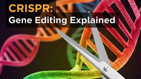 Crispr Explained Simply How Gene Editing Works Made Easy For