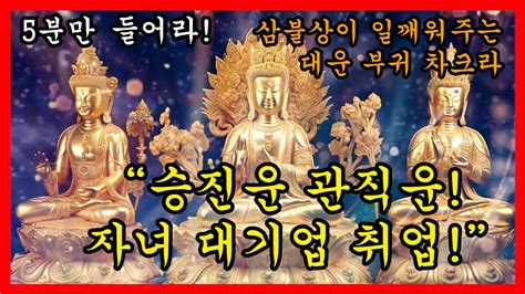 5분만 들어라🌕승진운 관직운자녀 대기업 취업🌕삼불상이 일깨워주는 대운 부귀 차크라 로또1등 스피또 2등 자기긍정 자기암시 명상음악 돈을