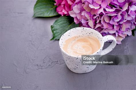 회색 바탕에 신선한 보라색 수 국입니다 향기로운 모닝 커피 한잔입니다 텍스트에 대 한 여유 공간입니다 최고의 볼 수 있습니다 Spce를 복사 합니다 0명에 대한 스톡 사진