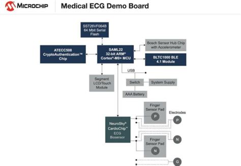 Connected Secure And Wearable Electrocardiogram ECG Design Electronics Lab