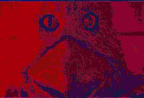 Dont Forget To Visit Eppy This Valentines Day He Gets Lonely Down There R Unt