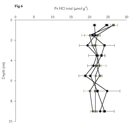 Total Hcl Extractable Fe µmol G Dry 1 Control Squares Nereis