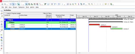 using filters in primavera p6 scheduling software