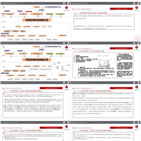 公司股权设计股权激励案例分析PPT模板 PPT模板 OVO图库