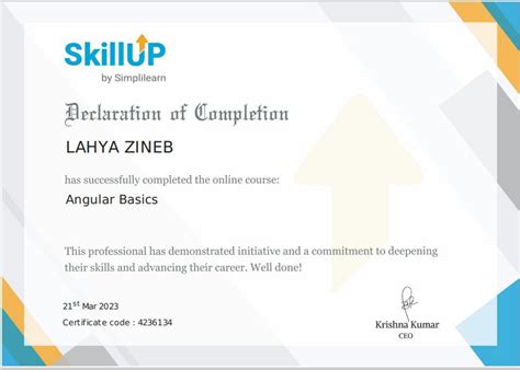 Lahya Zineb On Linkedin Angular Angularbasics Certification Learning Careergoals Growth
