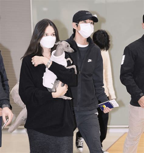 폭력적인 남편 만삭 임산부 케이티 ♥송중기와 칸 레드카펫 동행못한 충격 이유 네이트뷰