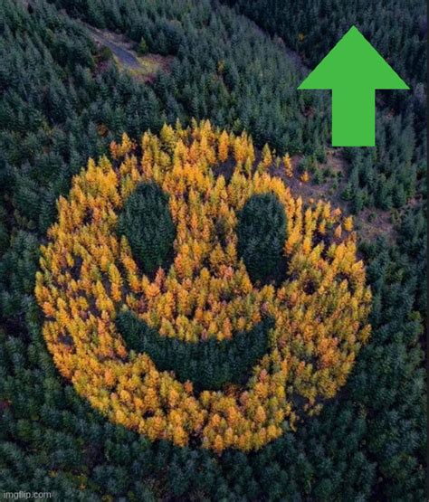 When I See A Nsfw Meme Imgflip