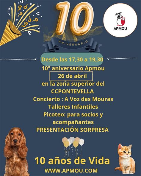 Celebramos 10 Años De Apmou Una Década De Compromiso Y Comunidad Apmou