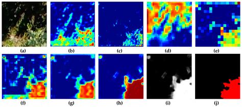 Fig Plant Segmentation From Aerial Images Using A Deep Convolutional