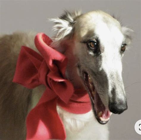 Hello Lazy Function 7172 Your Illustration Looks Just Like My Lovely