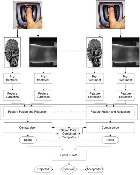 Block Diagram Of Fingerprint And Finger Vein Recognition Combined At Download Scientific