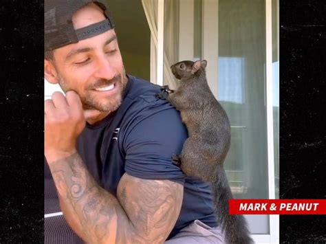 Peanut The Squirrel Owner Demands Answers About Raid Onlyfans Connection