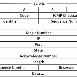 ICMP Packet Structure Download Scientific Diagram