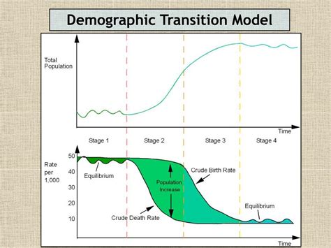 Ppt Demographic Transition And Age Structure Powerpoint Presentation
