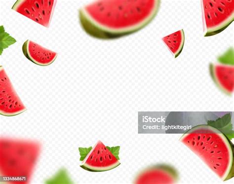 투명 한 배경에 떨어지는 수박 과일을 떨어지지 않습니다 광고를 위한 흐릿하고 사실적인 수박 슬라이스와 건잎 수박에 대한 스톡 벡터 아트 및 기타 이미지 Istock
