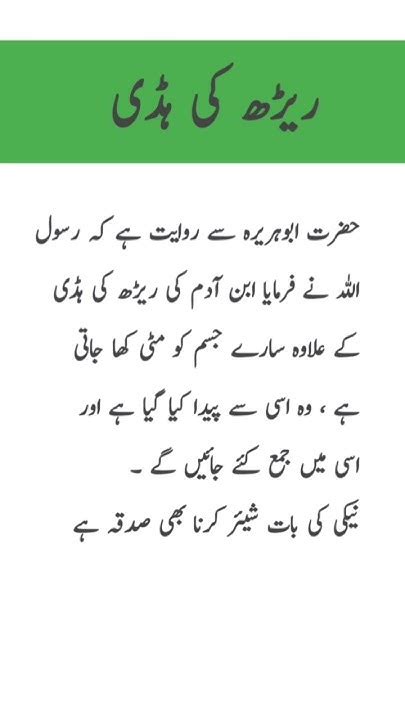 ریڑھ کی ہڈی Youtube