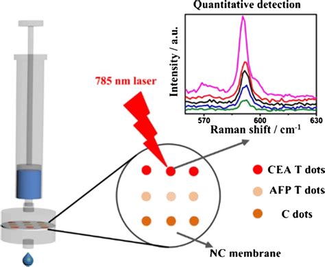 Schematic Representation Of The Vertical Flow Microarray Vfm Chip