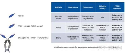 Fgf21：nash领域逆境前行现曙光 知乎