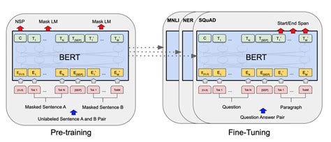Pre Training And Fine Tuning BERT Download Scientific Diagram