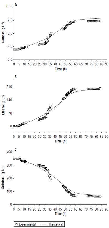 Design And Development Of A Mixed Alcoholic Beverage Kinetics Using Asai Euterpe Precatória