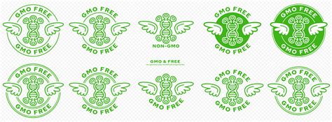 포장 제품을 위한 개념 스탬프 세트입니다 라벨링 비 Gmo 날개가있는 유전자 변형 유기체분자의 평평한 아이콘이있는 스탬프 해방되고 자유로운 상징 벡터 그룹화 된 요소입니다