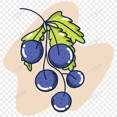 베리 과일 그림 Png 일러스트 무료 다운로드 Lovepik