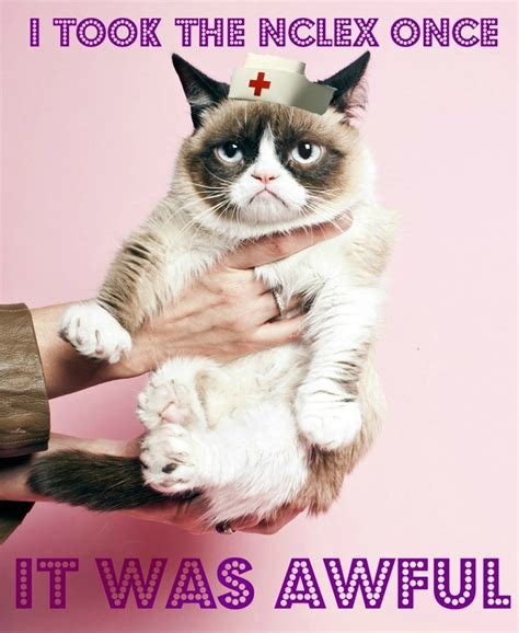 Nclex Pass Memes After Taking The Nclex Memes Tiktok