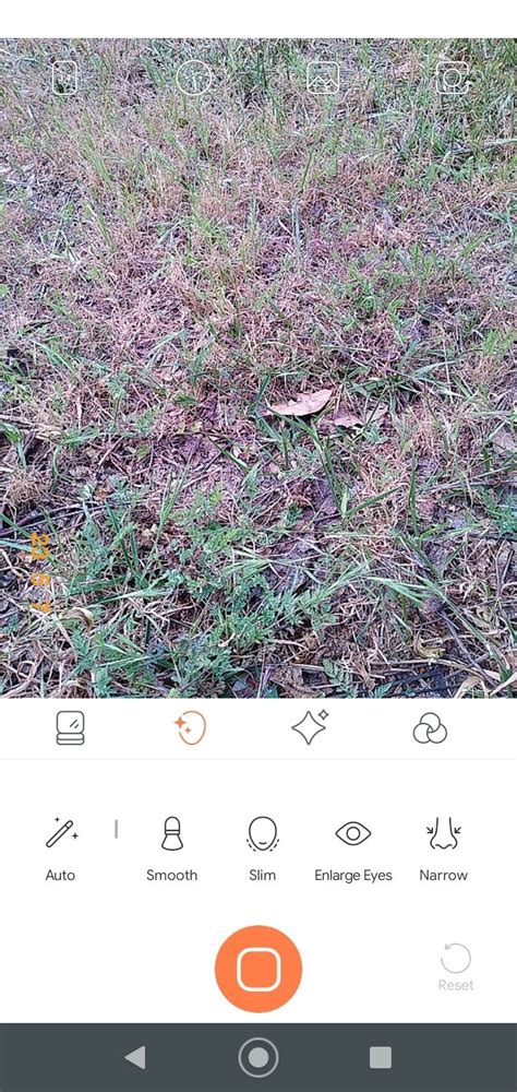 Beatrix Apk Download For Android Free