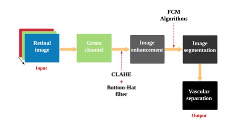 Flowchart Of The Retinal Image Segmentation Phases Download Scientific Diagram