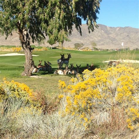 Toana Vista Golf Course All You Should Know Before Going 2026 With